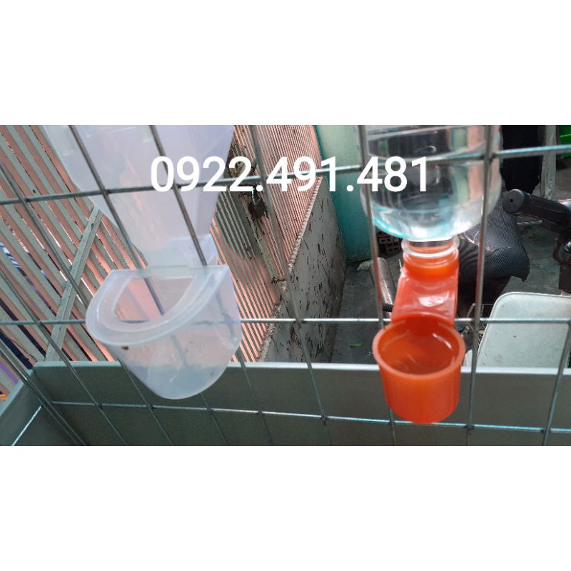 Food Trough + Drinking Trough For Chicken, Pigeon, Parrot, Bird.Binh ...