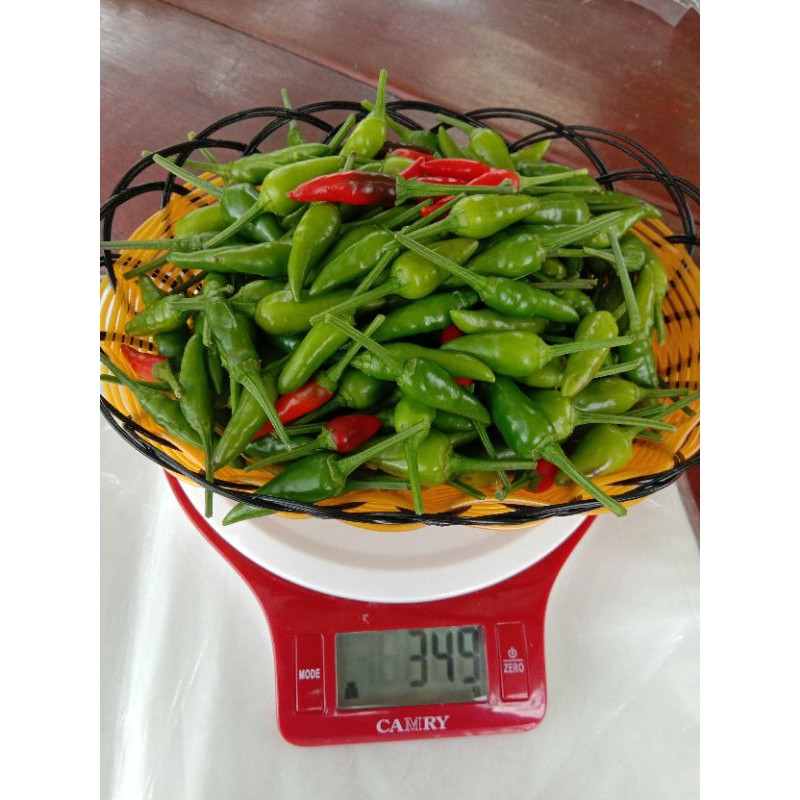 Cili Padi Centil (40biji benih) | Shopee Malaysia