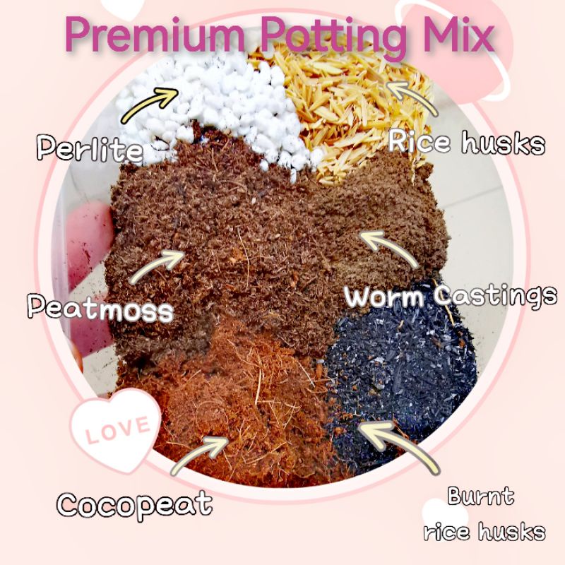 ☘️Premium🏆🌱4L well drain potting mix with peatmoss & worm castings /vermicast for seedling ...