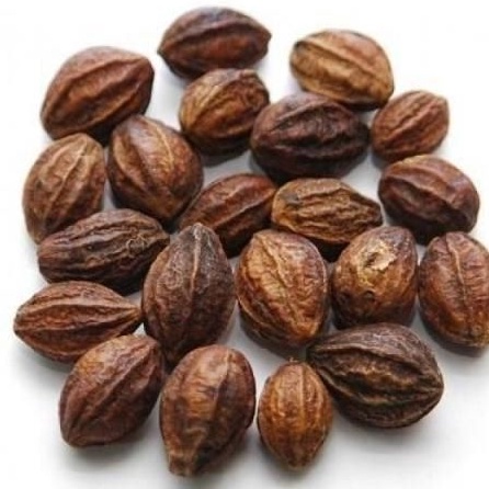 Kadukai / Buah Kaduka / கடுக்காய் / 诃子 / Haritaki - 100gm | Shopee Malaysia