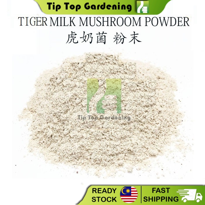 WILD TIGER MILK MUSHROOM POWDER 80 G 虎奶菌 粉末 MALAYSIA READY STOCK ...