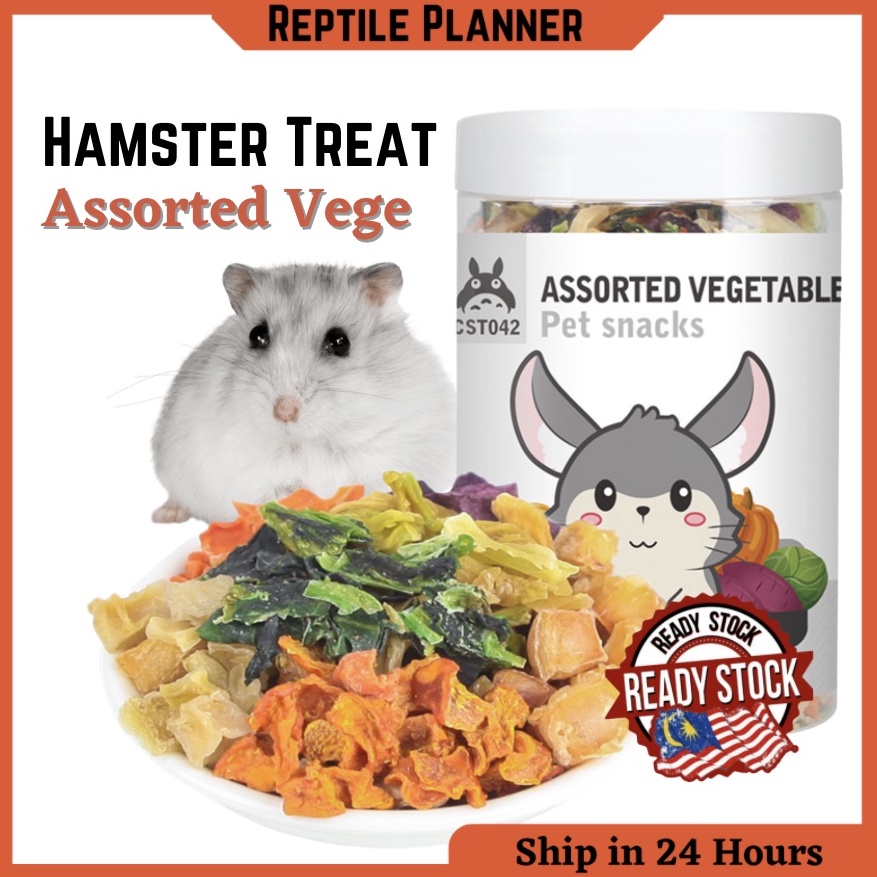 Assorted VegetableHamster Food Hamster Treats Snack Rabbit Guinea pig ...