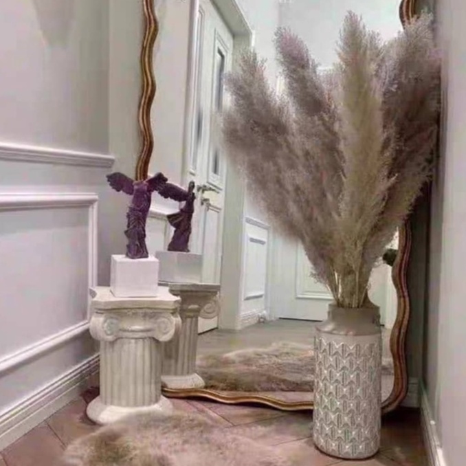 2pcs Tall 150cm+/- Real-Dried Pampas Grass Murah Rumput Pampas Pokok ...