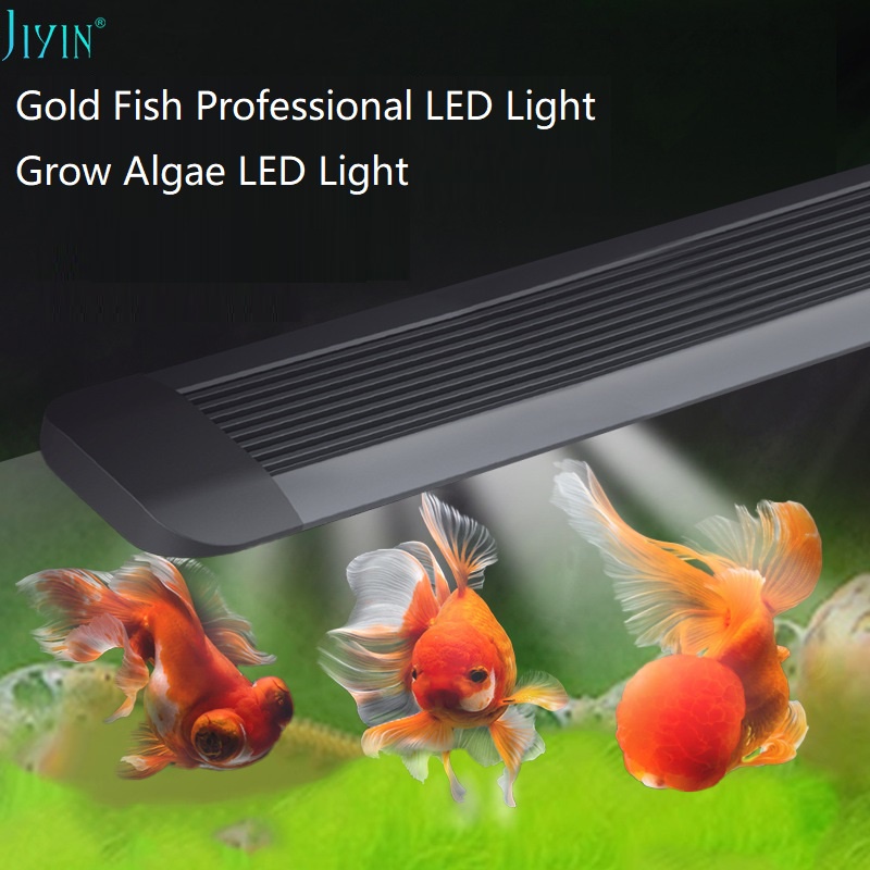 Jiyin Blade S Gold Fish Grow Algae RGB Professional Aluminium Aquarium ...