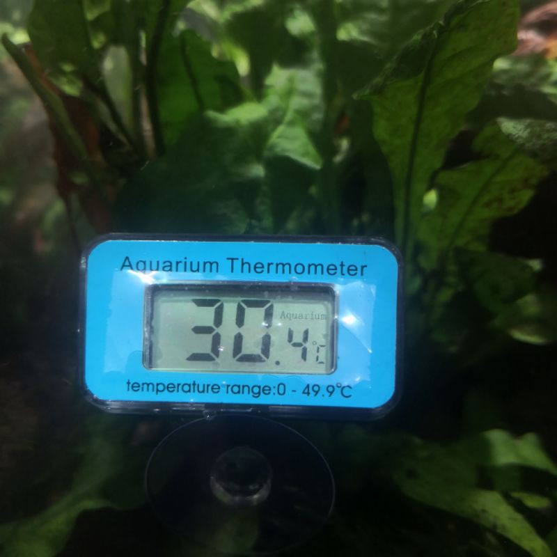 🐬🌟Ready Stock🌟🐬Submersible Digital Thermometer🌟Thermometer aquarium🌟 ...
