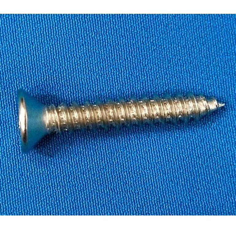 (SMALL PACK) #8 SELF TAPPING SCREW WOOD SCREW SKRU KAYU | Shopee Malaysia