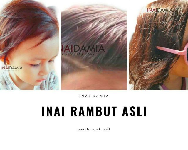 🔥INAI RAMBUT ORI DAUN INAI JENAMA INAI DAMIA LIMITED EDITION | FREE ...