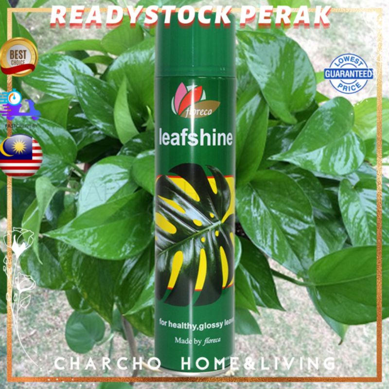 🇲🇾ReadyStock-Floreca Leaf shine Spray Can Leaf Shine Spray Pengilat ...