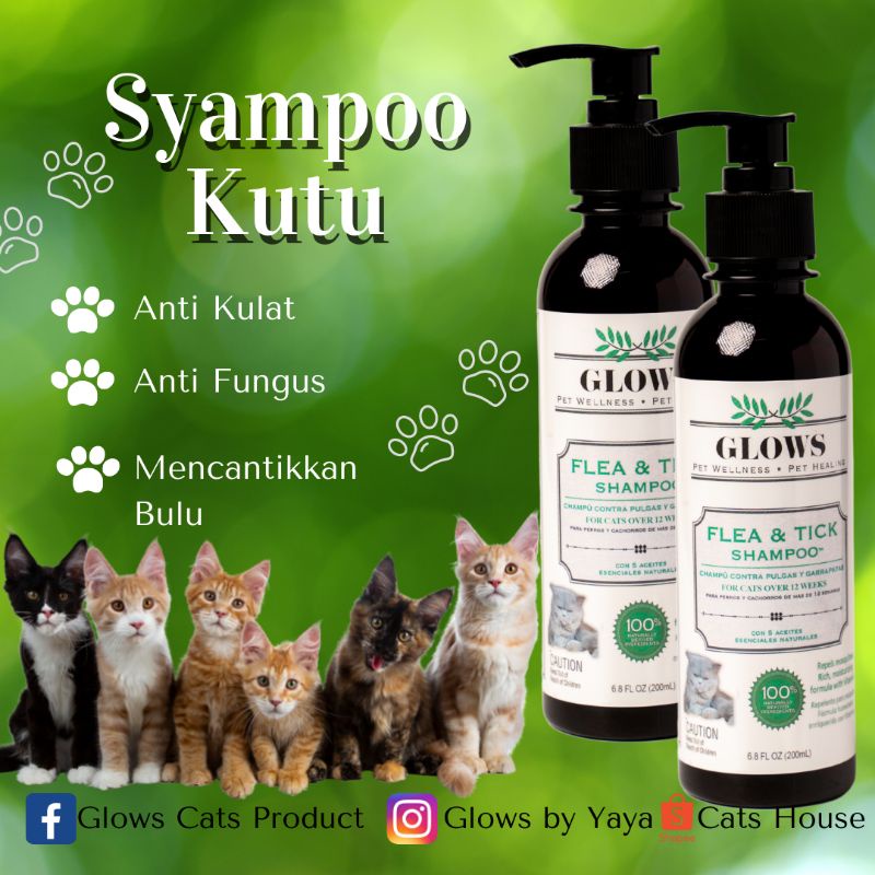 Shampoo kucing kutu/fungus/sakit kulit dan fungus (GLOWS cats shampoo ...