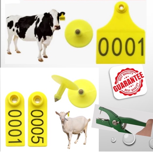 [READY STOCK] Plastic Livestock Ear Tag for ANIMAL Three Colors Number ...