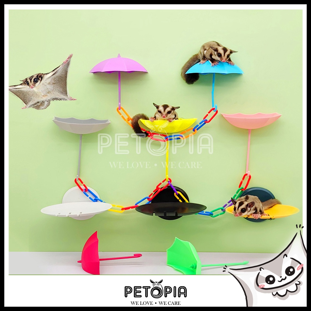 Sugar Glider Exercise Gliding Platform [Umbrella Design] | PETOPIA Sugar Glider Exercise Toy ...