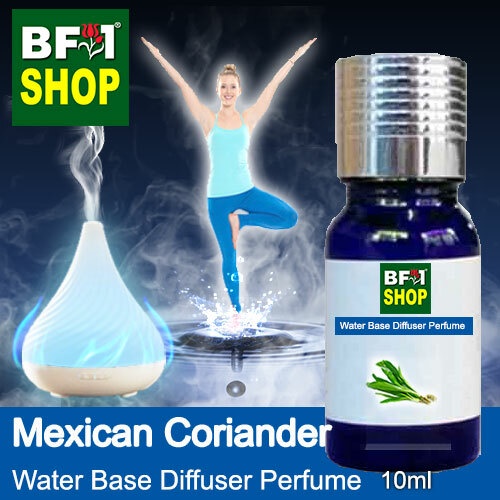 Aromatic Water Base Perfume (WBP) - Mexican Coriander - 10ml Diffuser ...