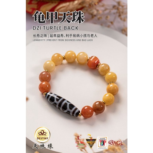 DZI DESTINY 天珠缘｜龟甲天珠系列｜健康守护 • 延年益寿 • 挡煞避害｜Turtle Back Dzi Bracelet ...
