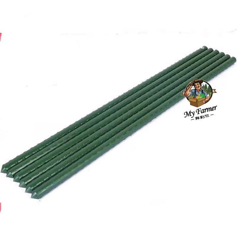 READY STOCK🌿🌿plant support rod anti-fall fixed🌸🌸 | Shopee Malaysia