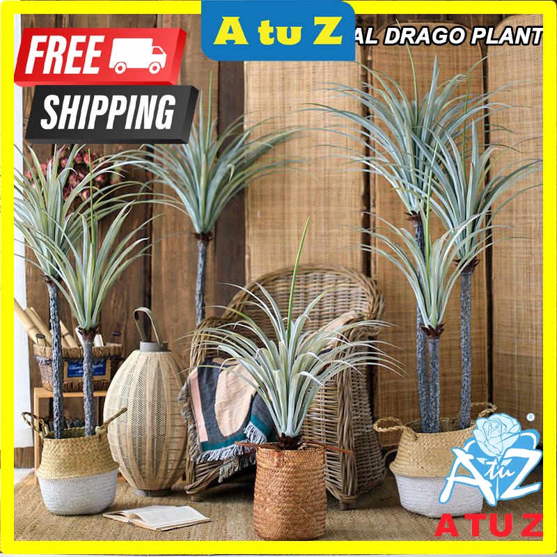 AtuZ Dracaena Dragon Plant Artificial Super Premium Pokok Hiasan ...