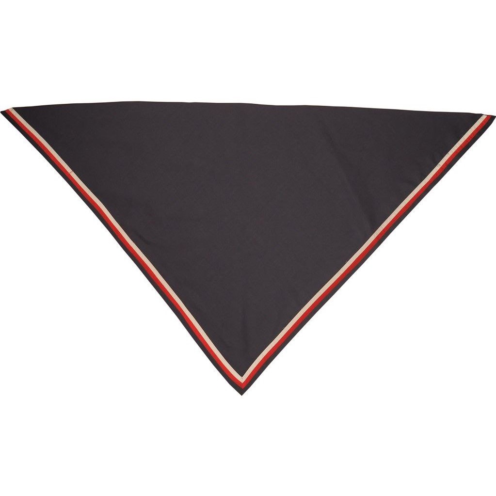 Lencana Pengakap / Scout Accessories- lencana keahlian, selangor ...