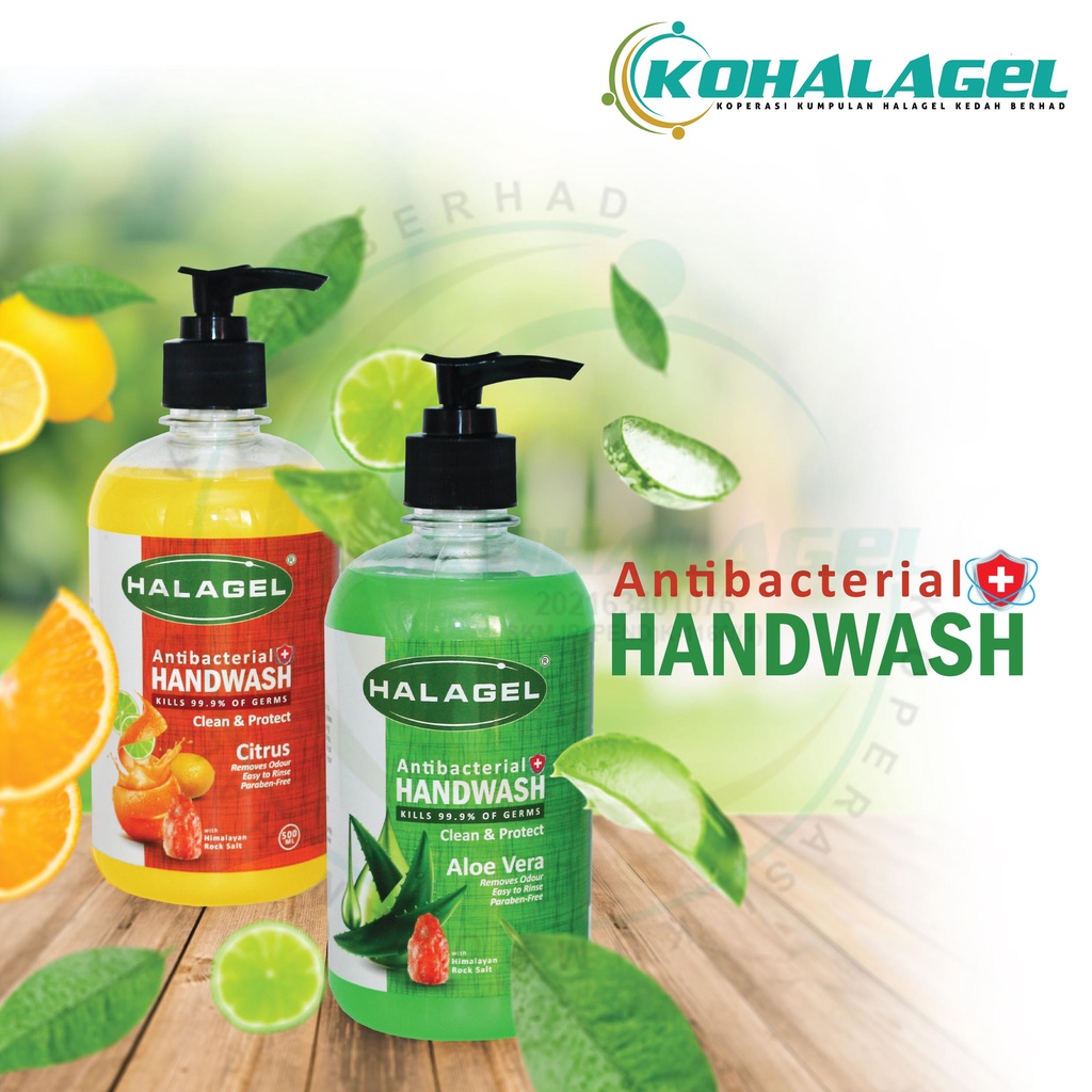 HALAGEL® Antibacterial Handwash | Pencuci Tangan Antibakteria | 500ML ...