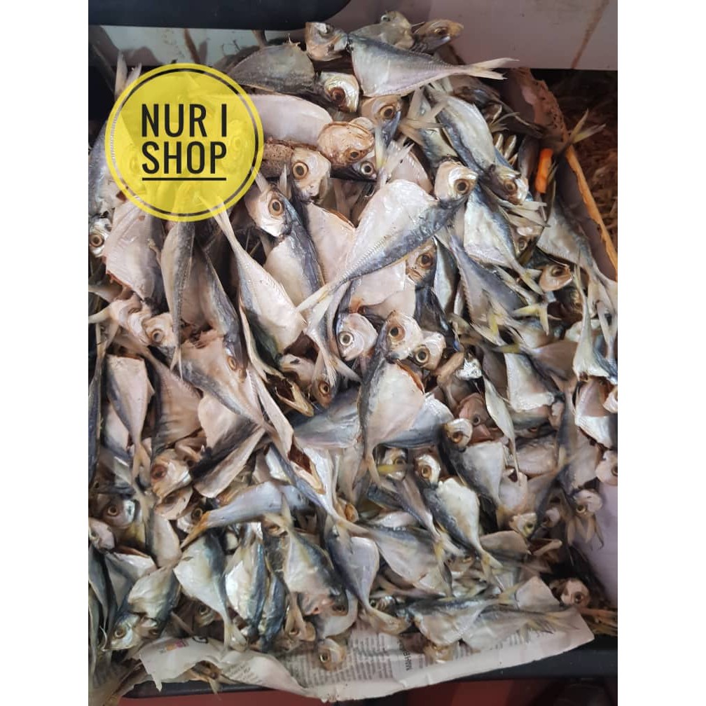 IKAN KERING PELATA READY STOCK | Shopee Malaysia