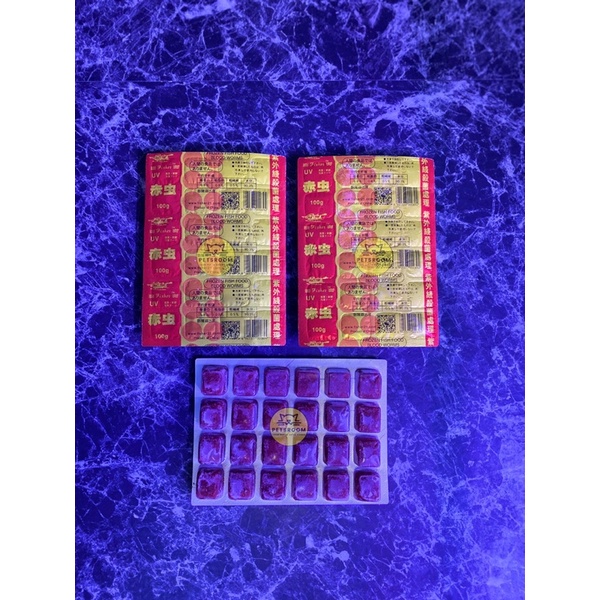 Cacing Beku - Frozen Blood Worm | Shopee Malaysia