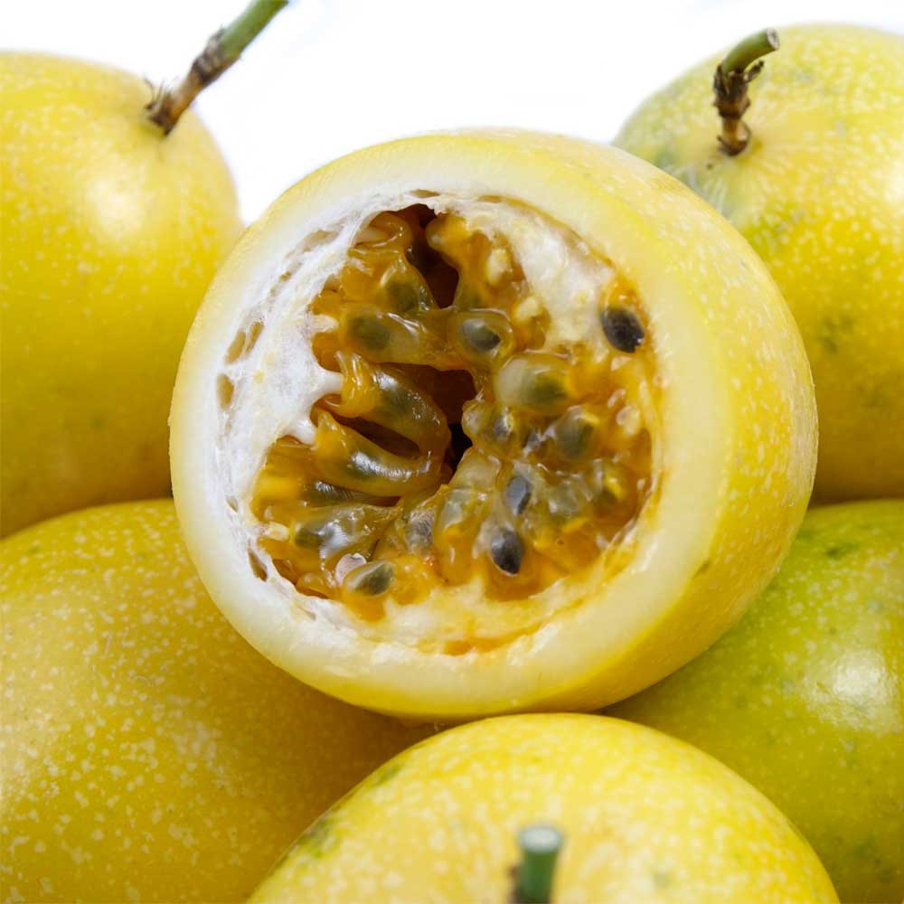 Anak Pokok Panama Gold Passion Fruit/Markisa | Shopee Malaysia