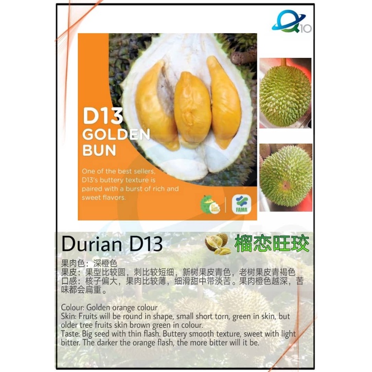 Q10 Fresh [FRESH}/[FROZEN] Durian Tekka / D13 / D24, etc / 竹脚榴莲和其他名种榴莲 ...