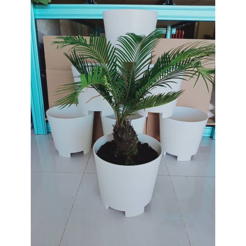 Pasu Fetigasi Viral Cantik Comel | Shopee Malaysia