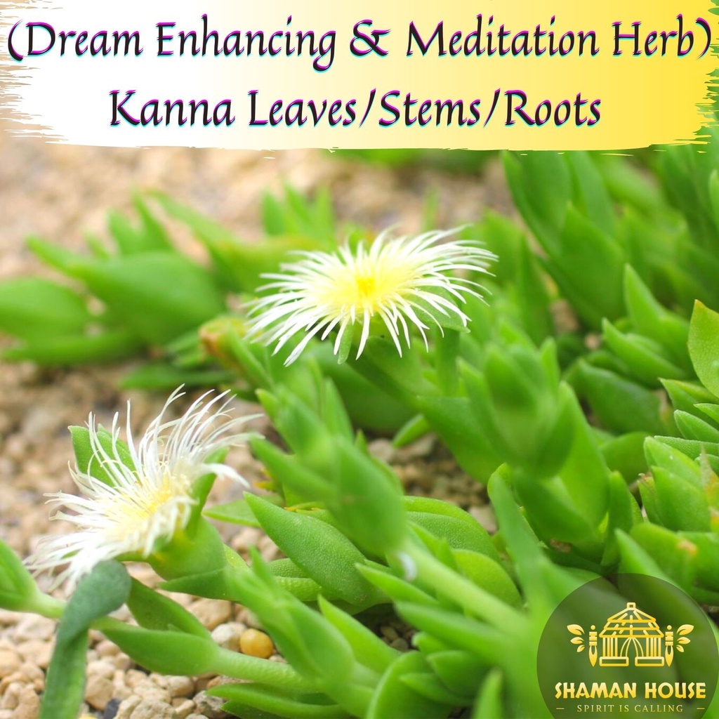 【👁 Natural Sleep Aid / Dream & Meditation Herb】(1g) Wild Dried Kanna ...