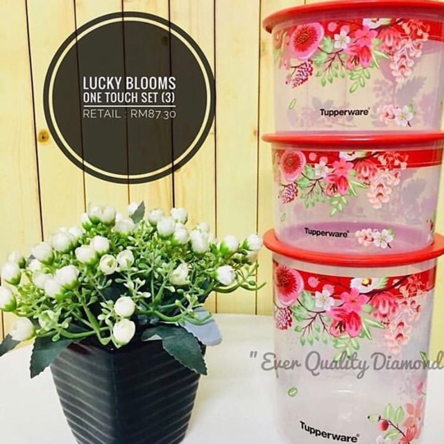 Tupperware One Touch Limited Edition | Shopee Malaysia