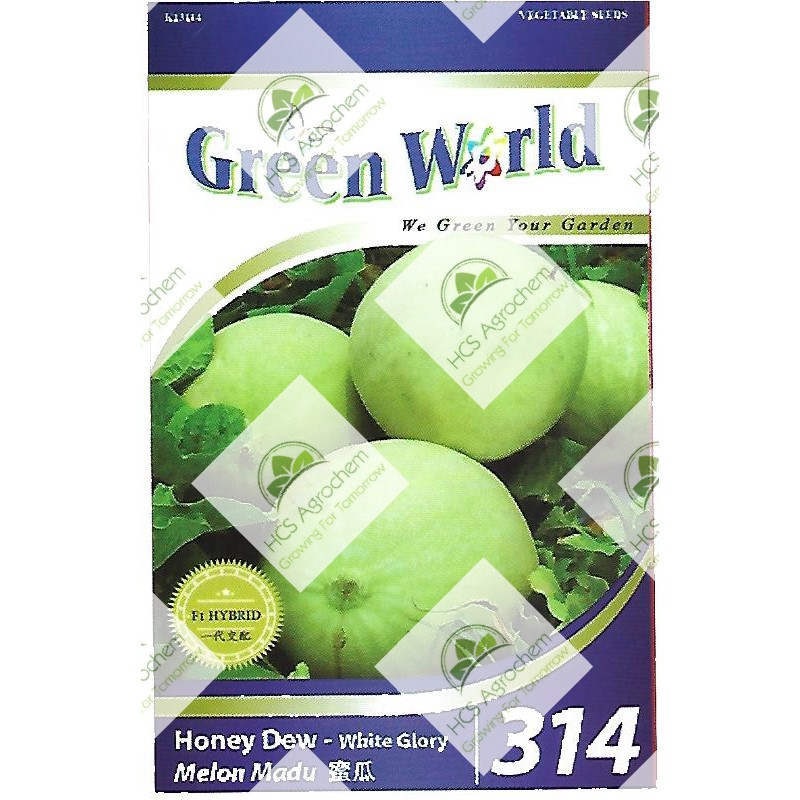 GWG 314 Honey Dew – White Glory (蜜瓜) Melon Manis - 15seeds | Shopee ...