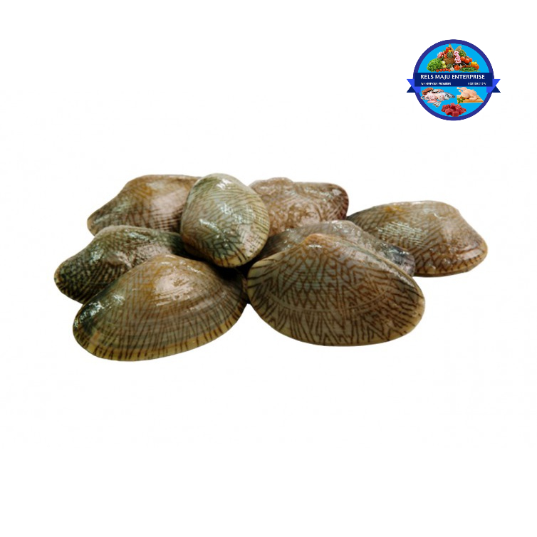 LALA SEGAR / FRESH CLAMS | Shopee Malaysia