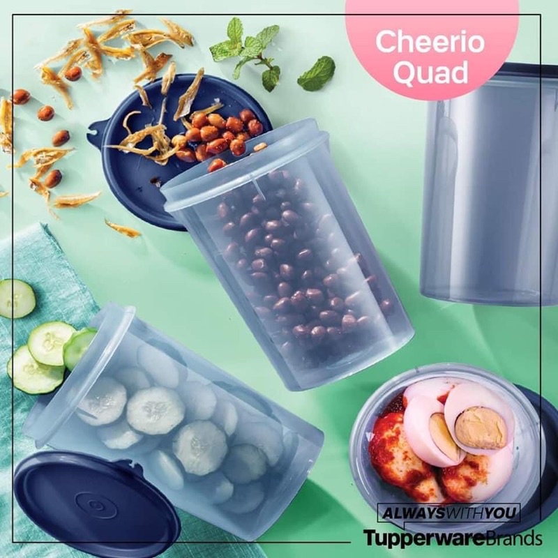 Tupperware Muat 1kg Gula | Shopee Malaysia