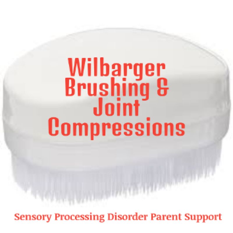 1 SENSORY Brushing thearapressure (AUTISM) | Shopee Malaysia