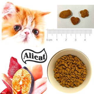 Smart Heart Dry Cat food Kibble Makanan Kucing 10kg / Smartheart (10kg ...