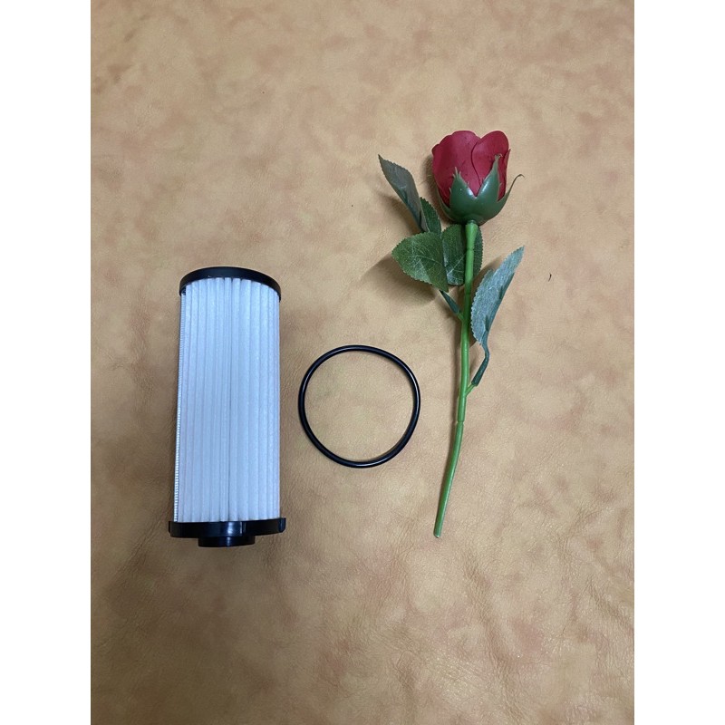 🌹0BH325183C Original Volkswagen Tiguan 0BH DSG Oil Filter | Shopee Malaysia