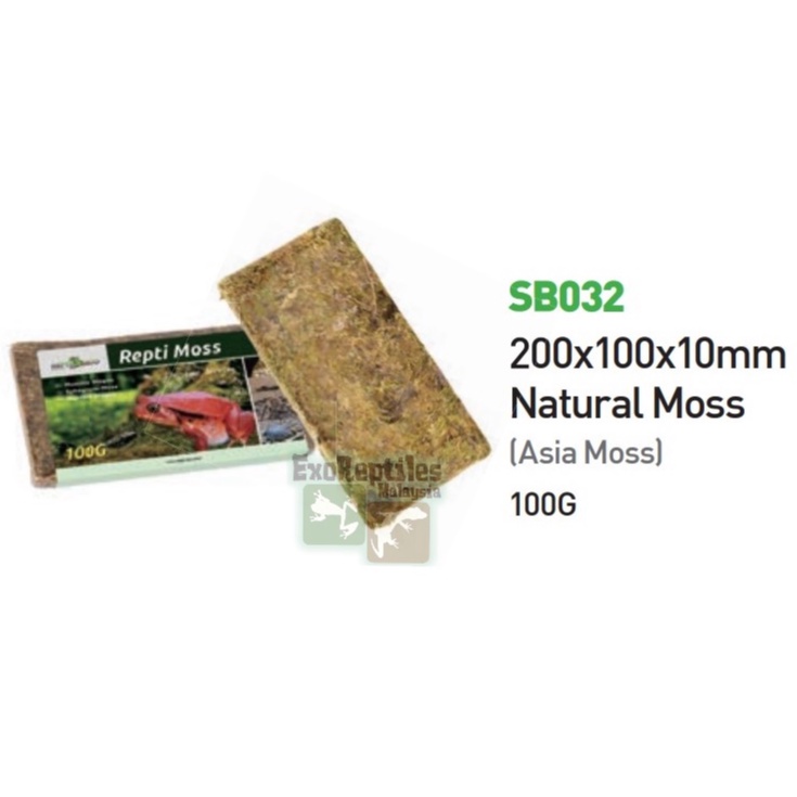 REPTI ZOO REPTI MOSS SB031 SB032 (1unit) | Shopee Malaysia