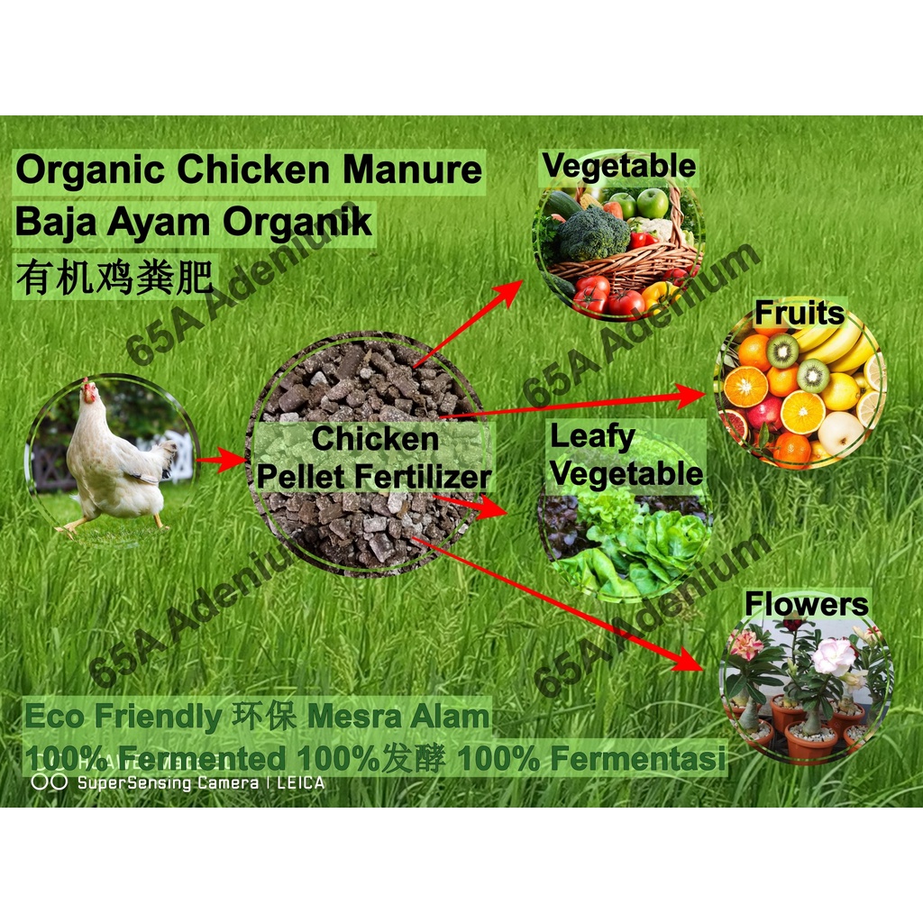 Pure Eggs Chicken Manure Pellet fertilizer 1kg/ 有机鸡蛋粪精肥 1公斤 / Baja Tahi ...