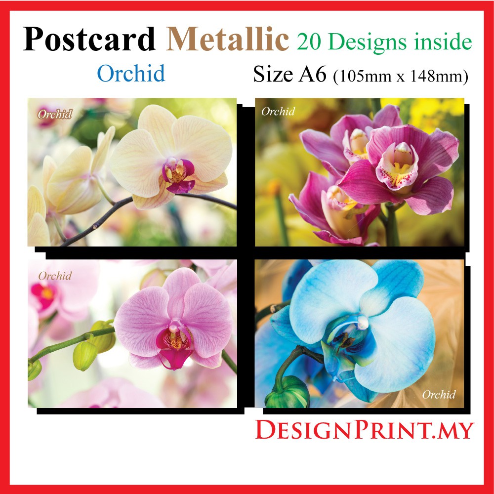 Postcard Orchid Flowers printed on Metallic Card, Poskad with shiny ...