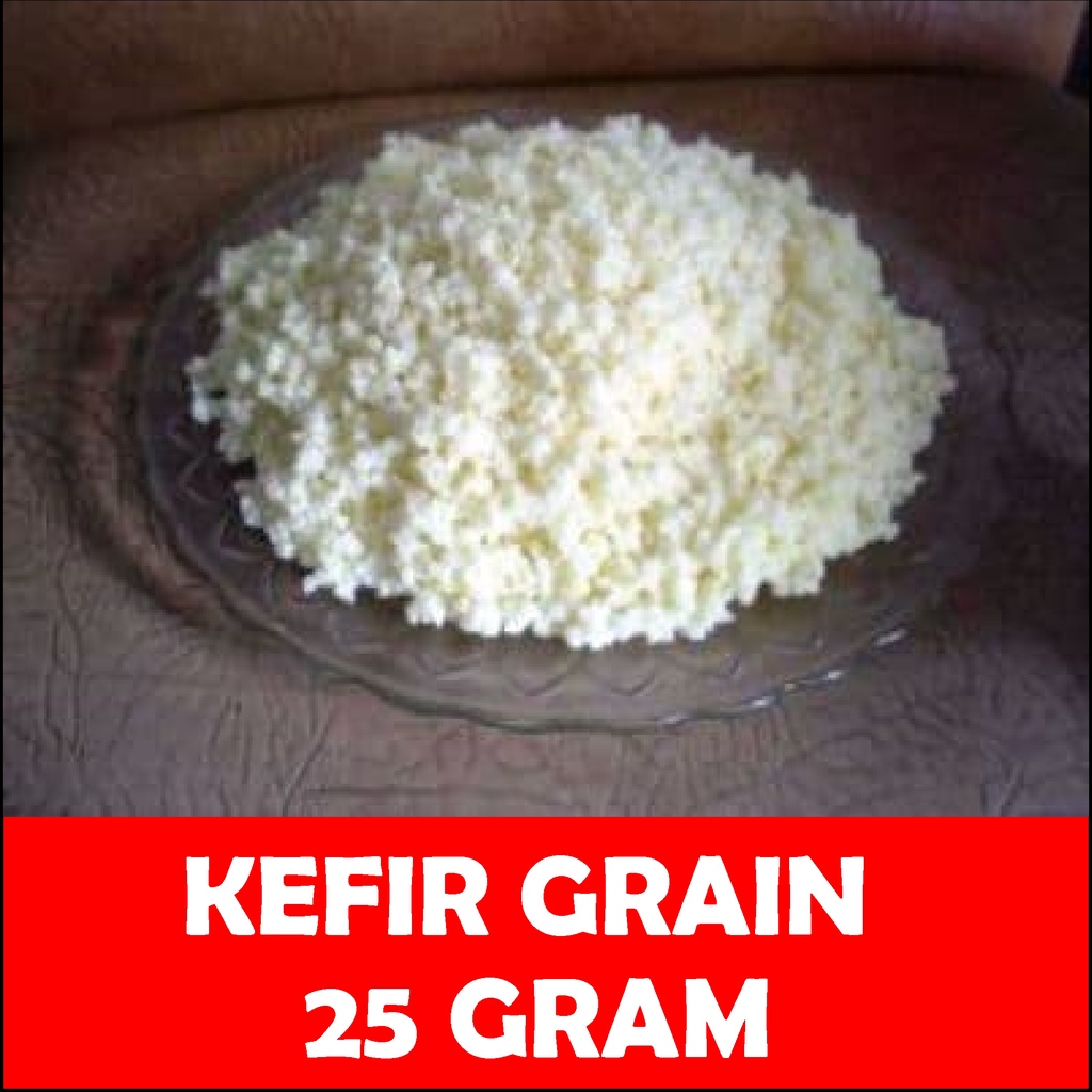 KEFIR SEEDS - Kefir Grain 25 gr ORIGINAL | Shopee Malaysia