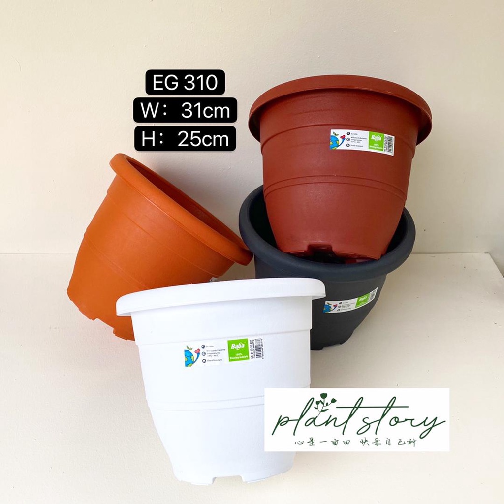 🌱BABA POT🌱UV HIGH QUALITY🌱P1🌱Ready stock🚚🚚 | Shopee Malaysia