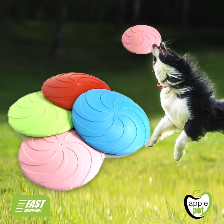 Pet Dog Frisbee Flying Disc Fetch Training Tool Tooth Pet Supplies ...