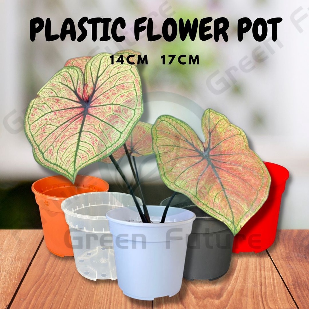 14CM 17CM OCTO HANGING PLASTIC FLOWER POT PASU BUNGA PLASTIK GARDEN ...