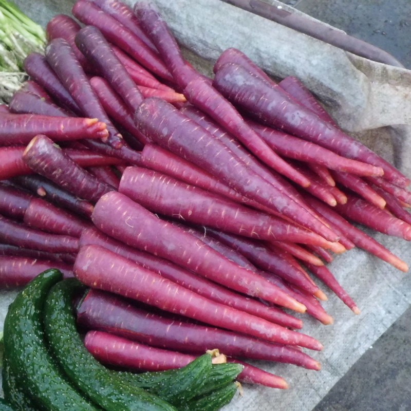 Purple carrot seeds/Biji lobak ungu/紫胡萝卜种子 | Shopee Malaysia