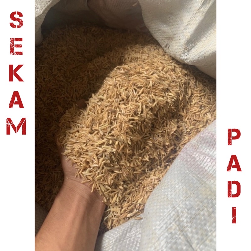 Sekam padi mentah / bakar (1 KG)/ sekam padi murah | Shopee Malaysia