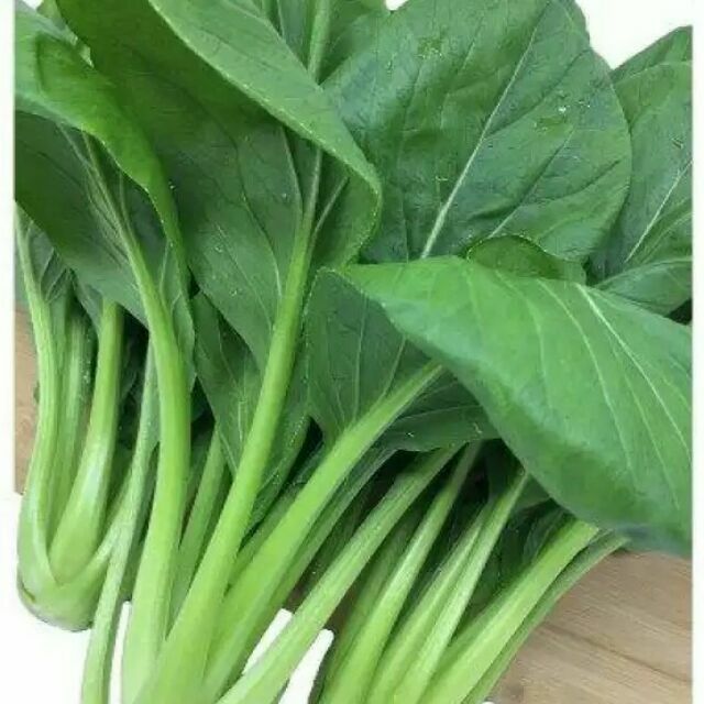 (5grams/500+PCS)Vege Seeds/Biji Benih Sawi Chai Sim/Choy Sum/Hong Kong ...