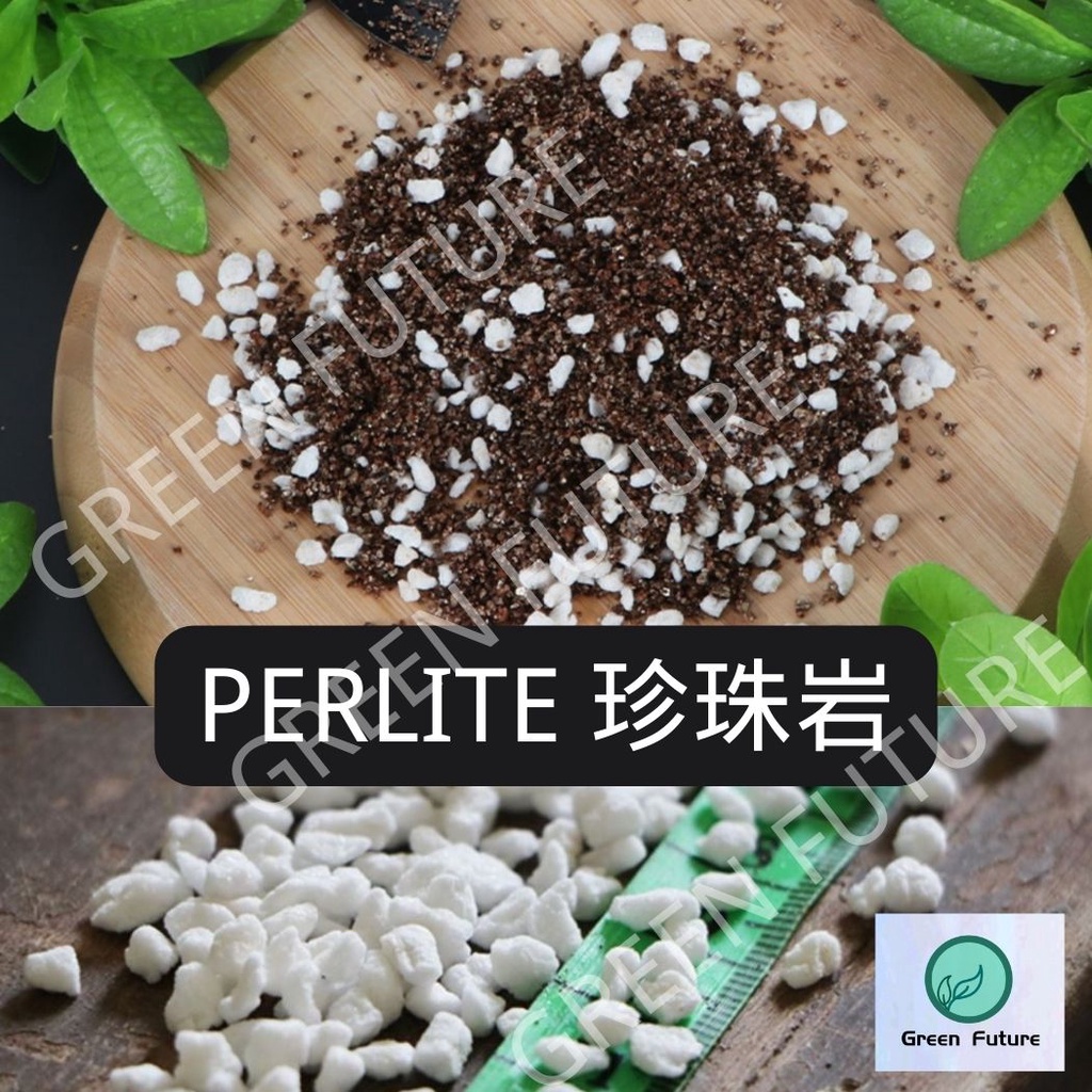 Perlite 珍珠岩 3-5mm For Cactus & Succulents soil Volcanic Perlite ...