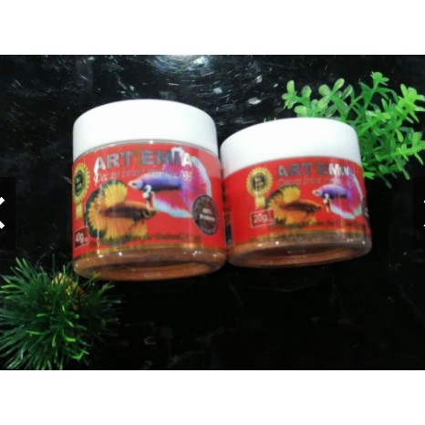 SISO ART EMIA 20G/40G | Shopee Malaysia