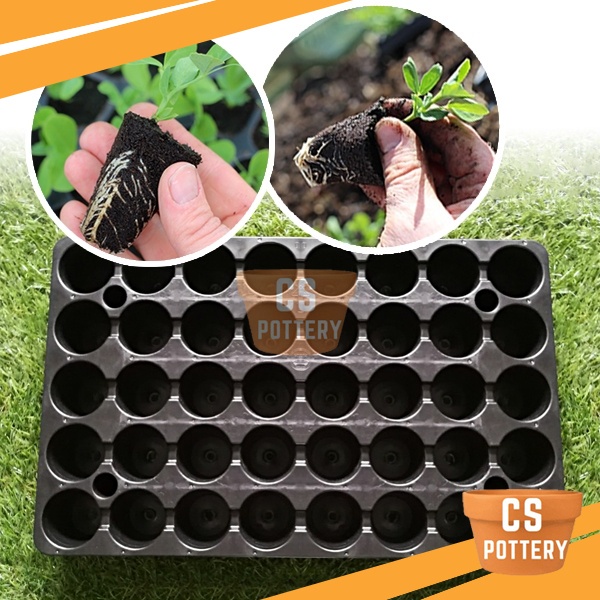 40 HOLES SEEDLING GROW TRAY PLANTS VEGETABLS FLOWERS GERMINATION PLANT ...