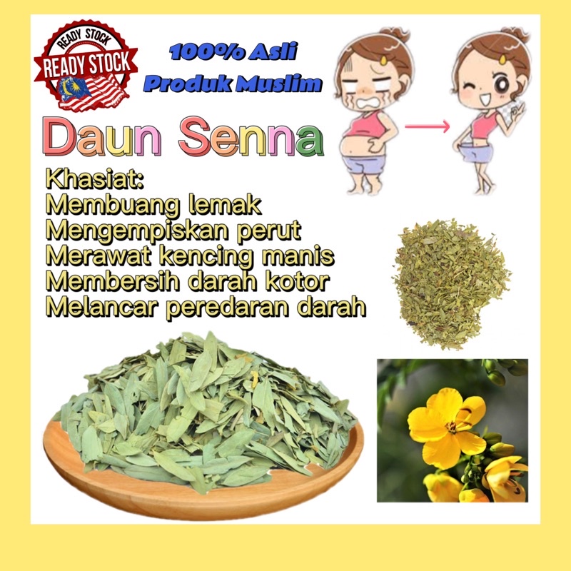 （Promosi!!!）Daun Senna，Teh Senna，Daun Sanna 100g/500g/1kg | Shopee Malaysia