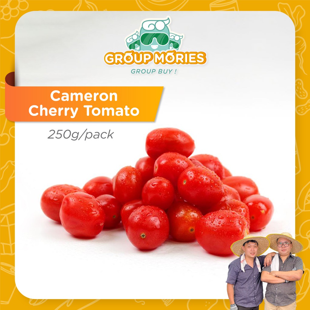 Cameron Cherry Tomato / 金马伦樱桃西红柿 - 250g/pack | Shopee Malaysia