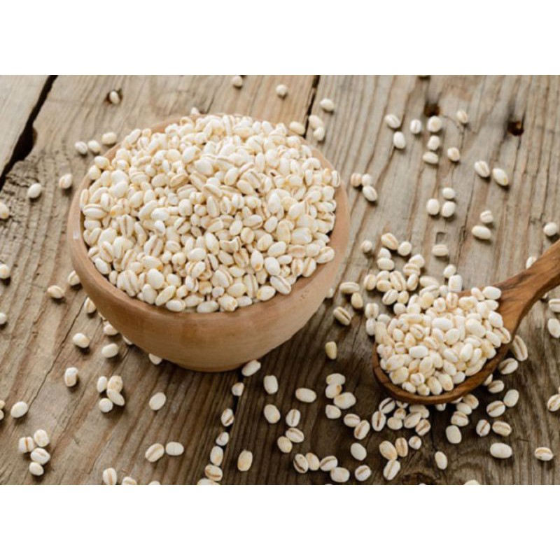 SERBUK BARLI BERUBAT/CINA 50g/100g [READY STOCK] | Shopee Malaysia